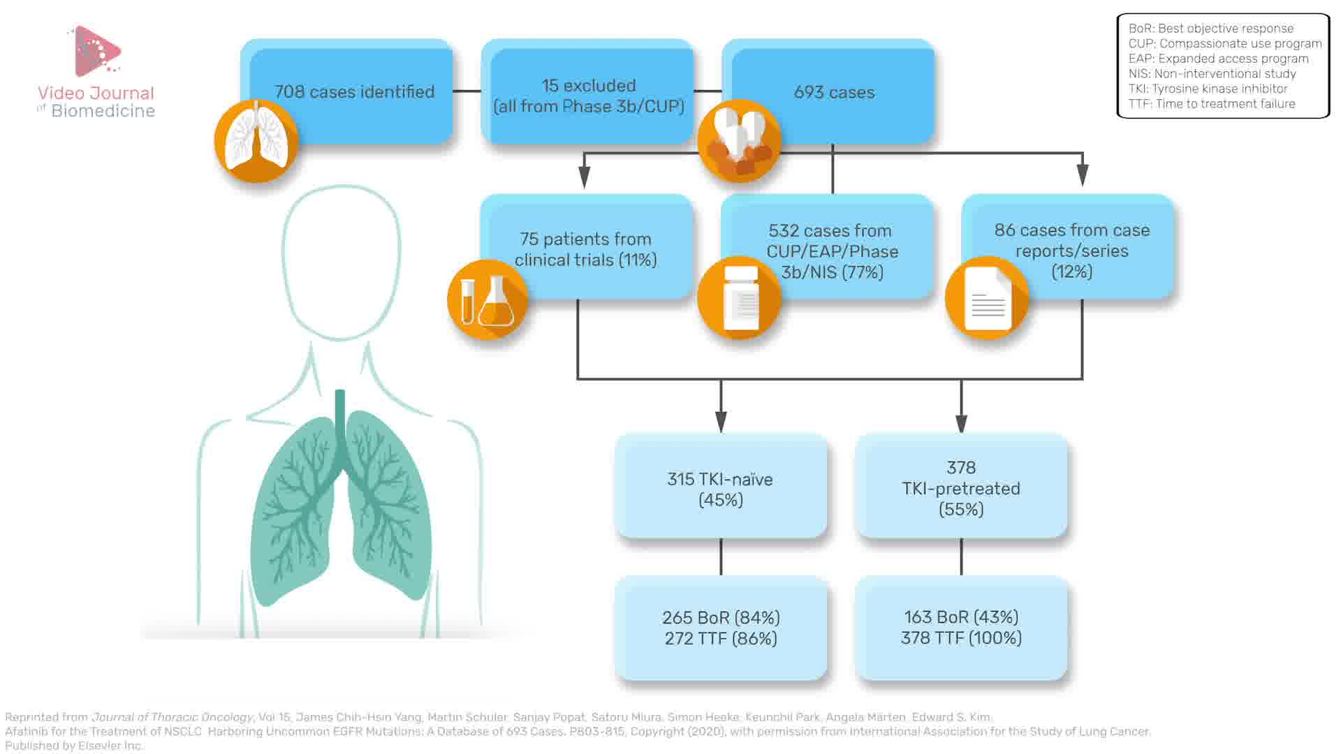 Afatinib in NSCLC with uncommon EGFR mutations - Video Journal of ...