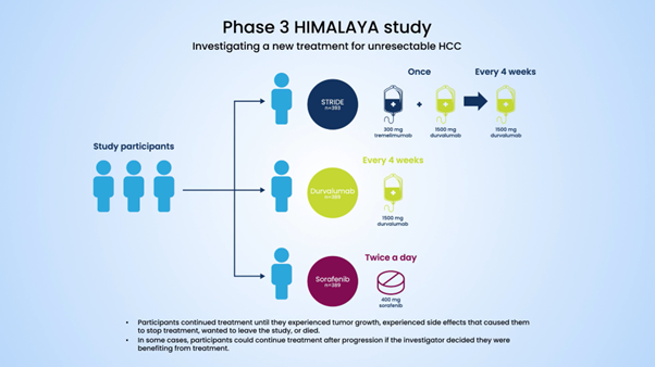 Tremelimumab and Durvalumab for Unresectable HCC: HIMALAYA - VJBM